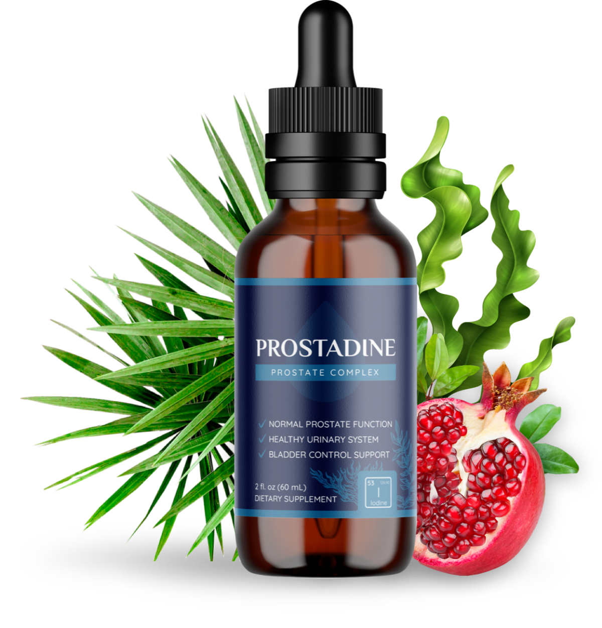 What is Prostadine? A Comprehensive Guide to Prostate Health